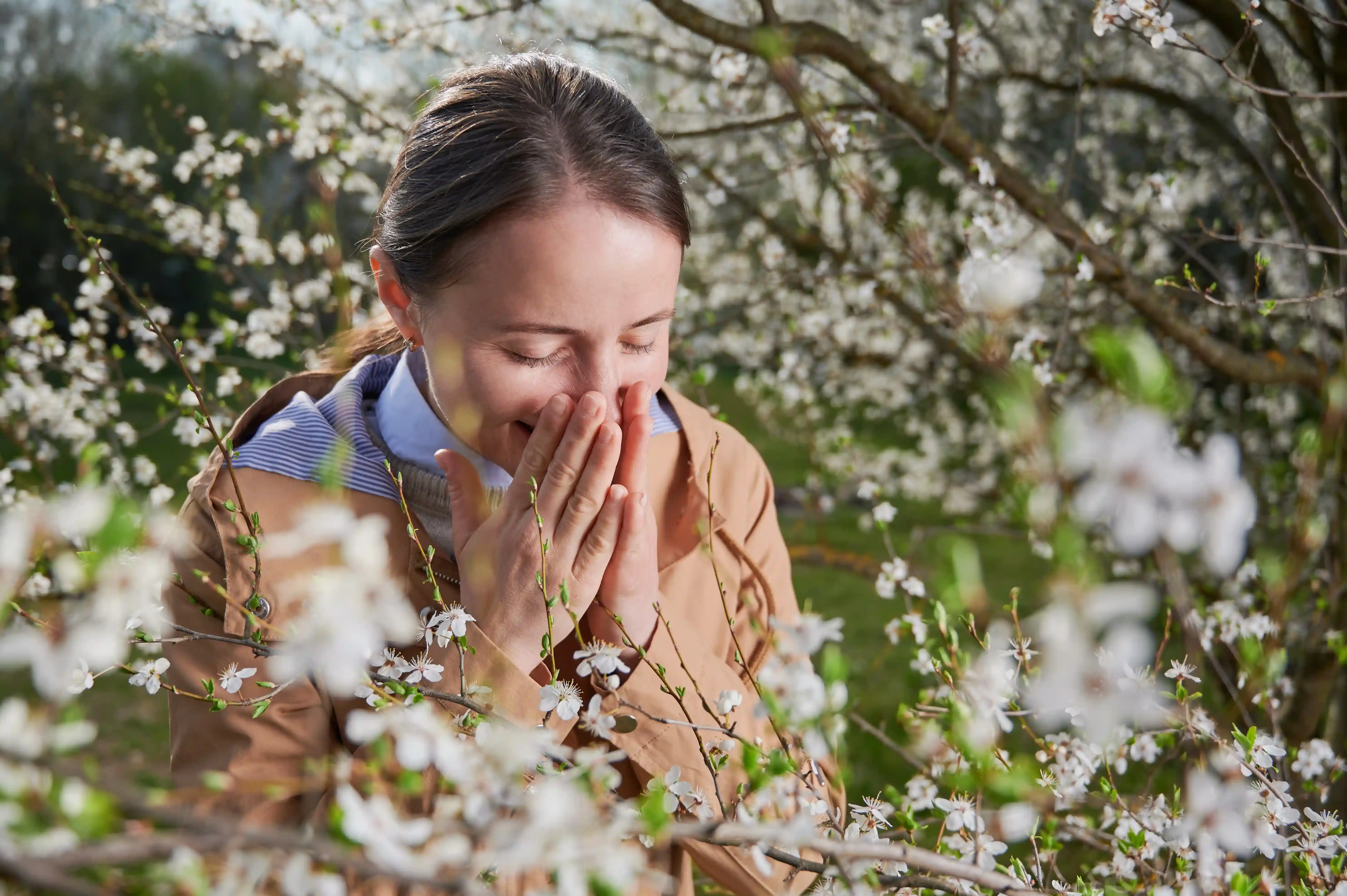 What is pollen allergy and what are its symptoms?